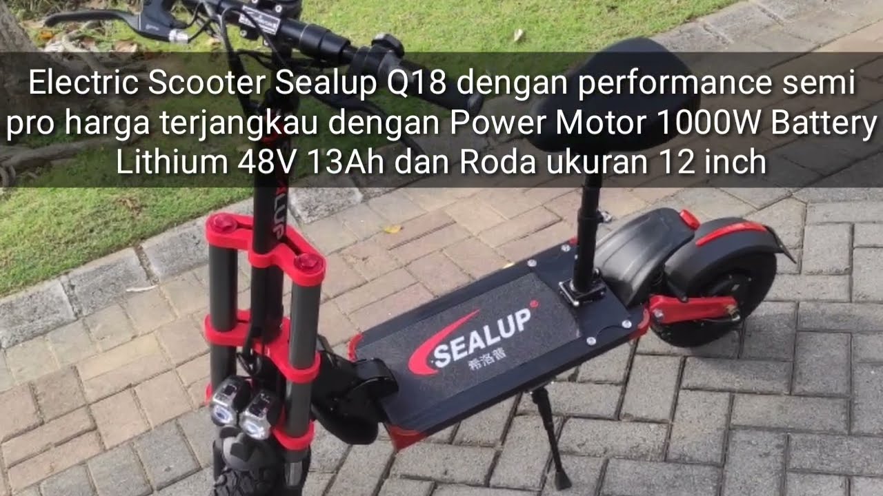 Electric Scooter Sealup Q18 Power Motor 1000W Battery Lithium 48V 13Ah ...