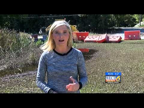 WECT News at 4pm and 6pm- Reporter Katie Garner - YouTube