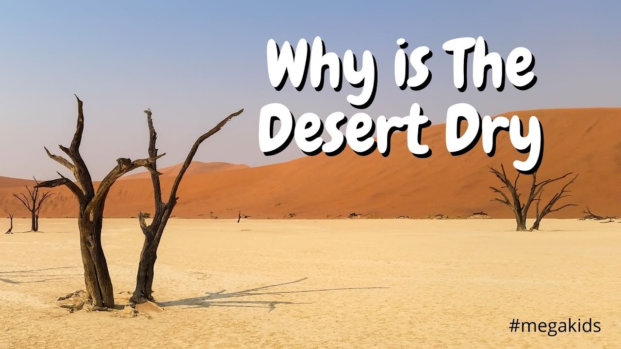 Why is the Desert Dry | Types of Desert | Reasons and Explanations ...