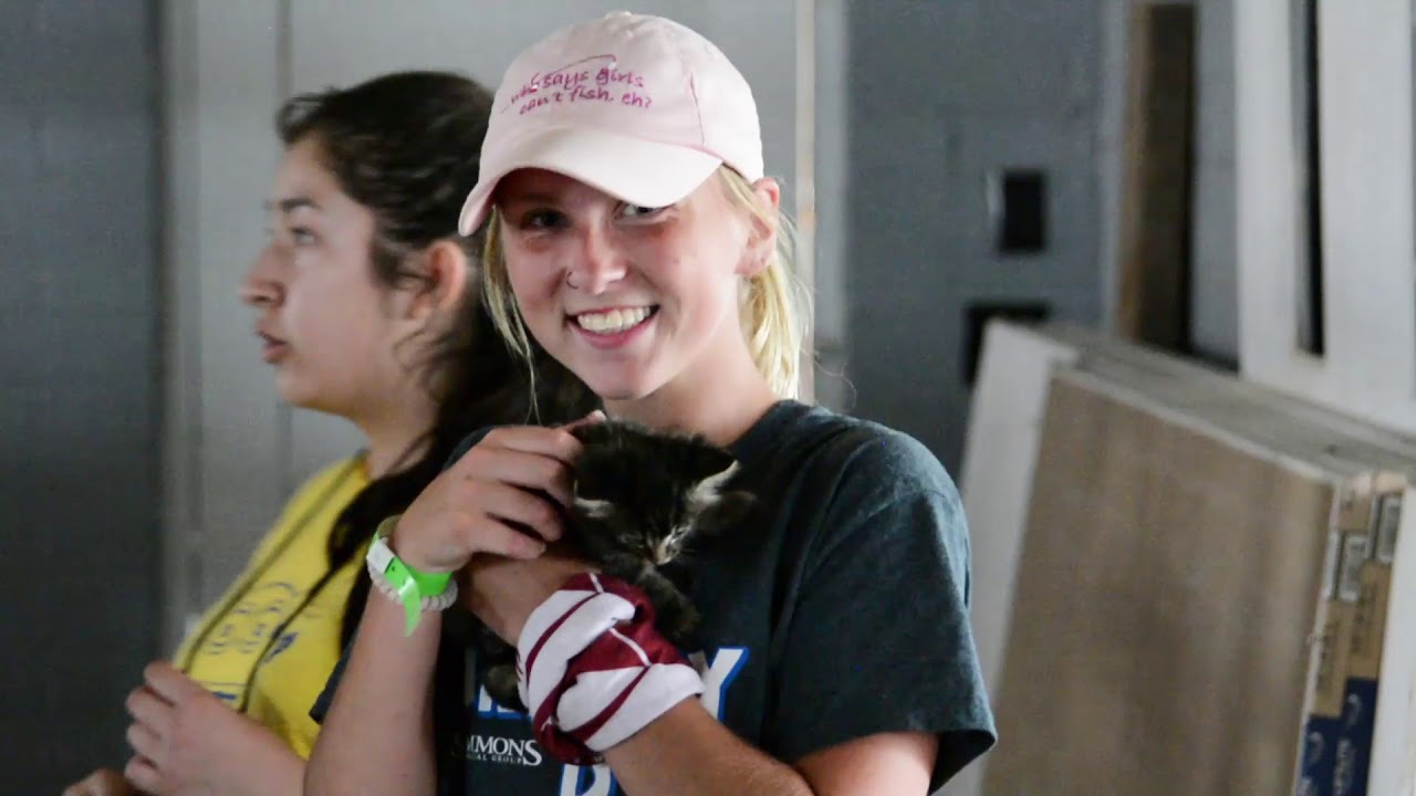 Manus Christi- be His hands! - YouTube