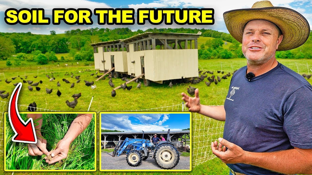 Polyface Farm: The Future You Dont know Yet - YouTube