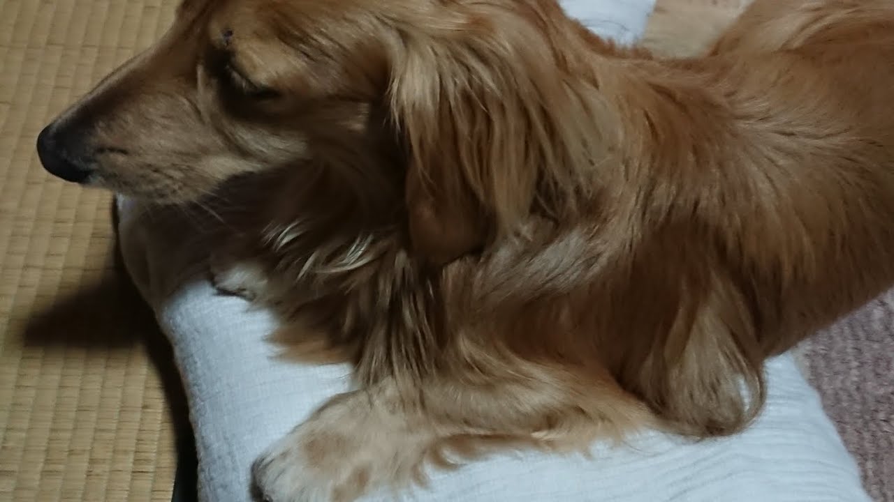 ken azuma 2023 0604 - YouTube