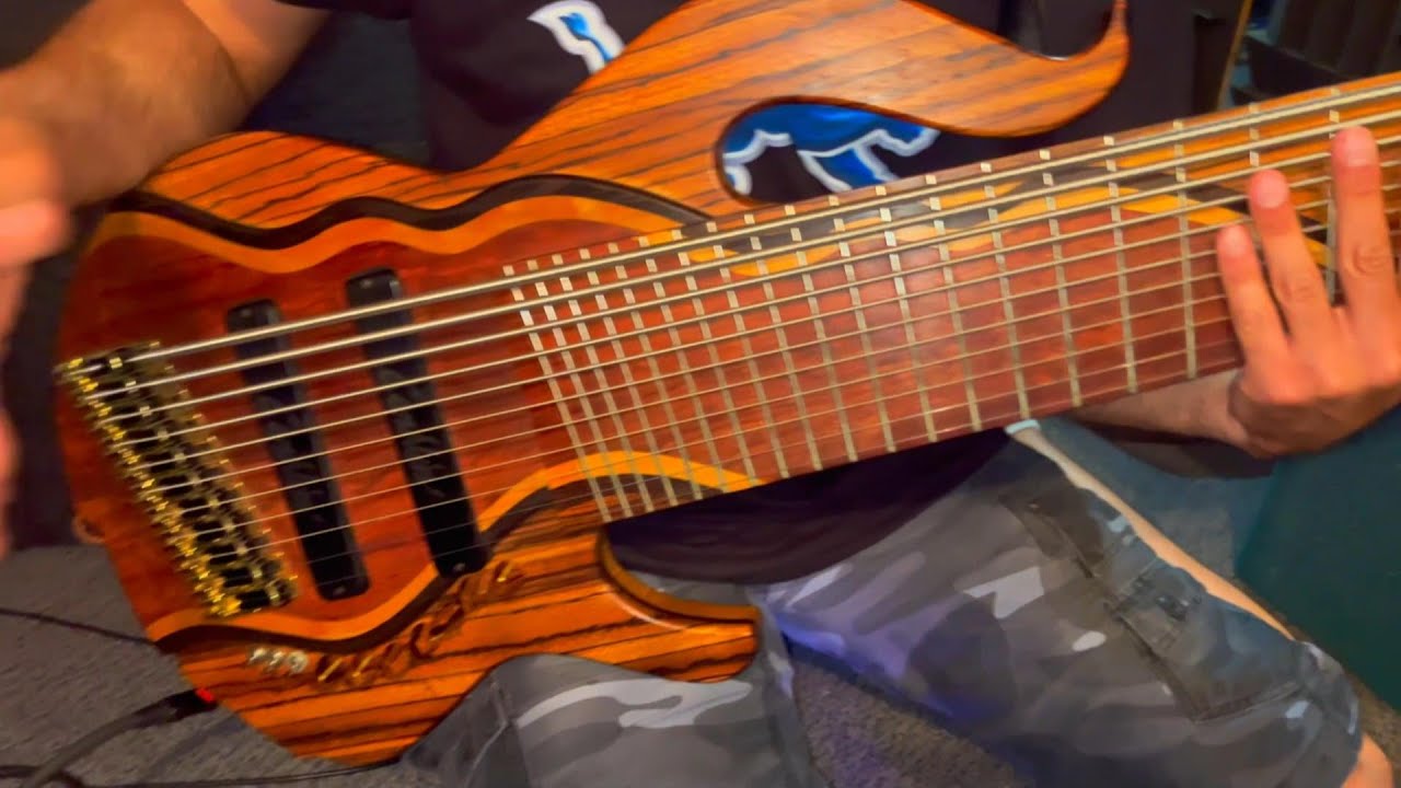 Monter bass alert 11 string guitar and addressing extended range guitar ...