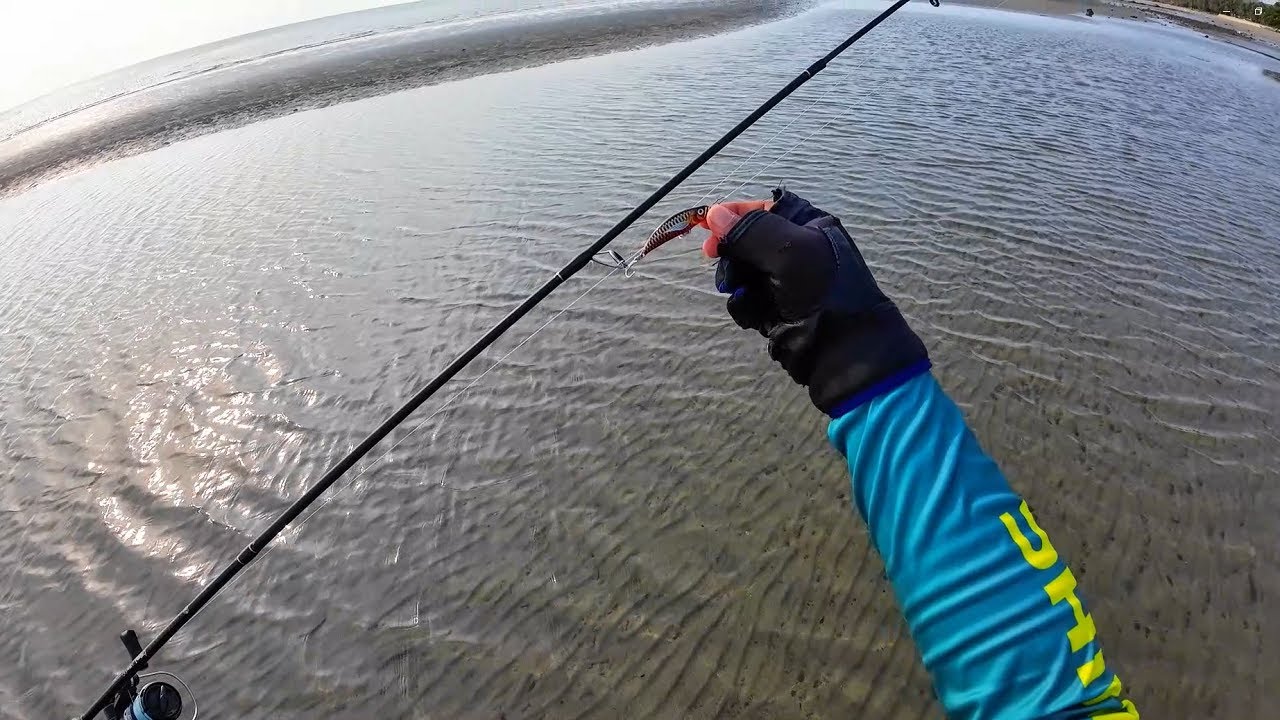 Shorecasting | Ep 19 - Isang lure lang sapat na | PAOAY - YouTube