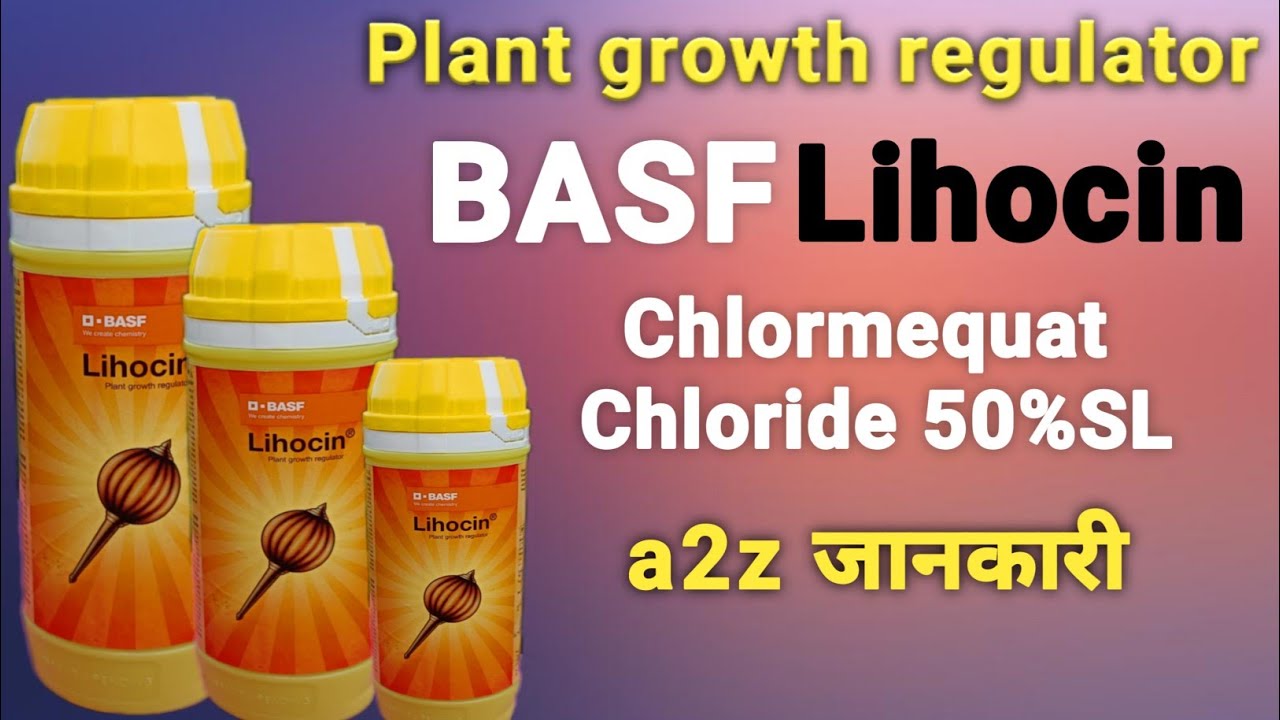BASF lihocin BASF lihocin pgr | lihocin plant growth regulator | basf ...