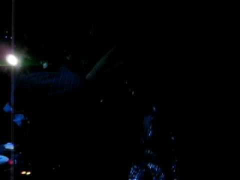 Dobermann Marianne Puglia 3 - 22/11/2008