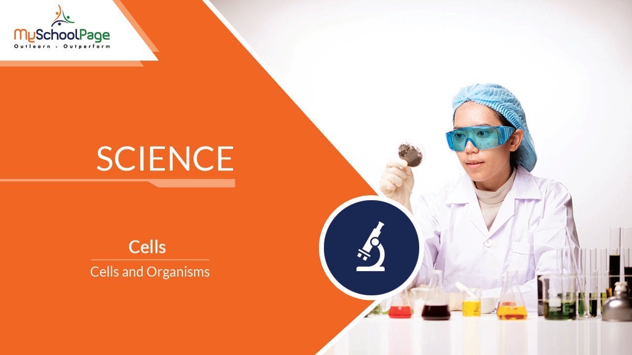 Cells | Cells and Organisms | Science | Cambridge | Year 7 - YouTube