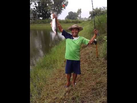 บ่อโคกพิลา 1