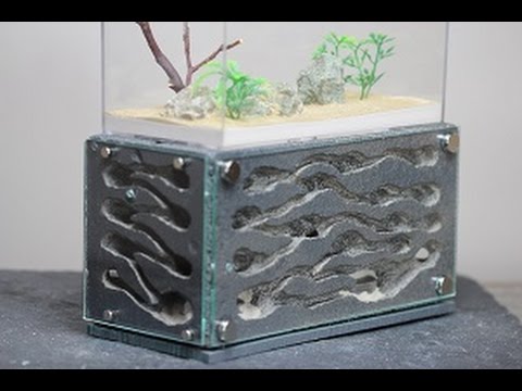 Nucleus 360 (9x5x4) Ant Habitat from Tar Heel Ants - YouTube
