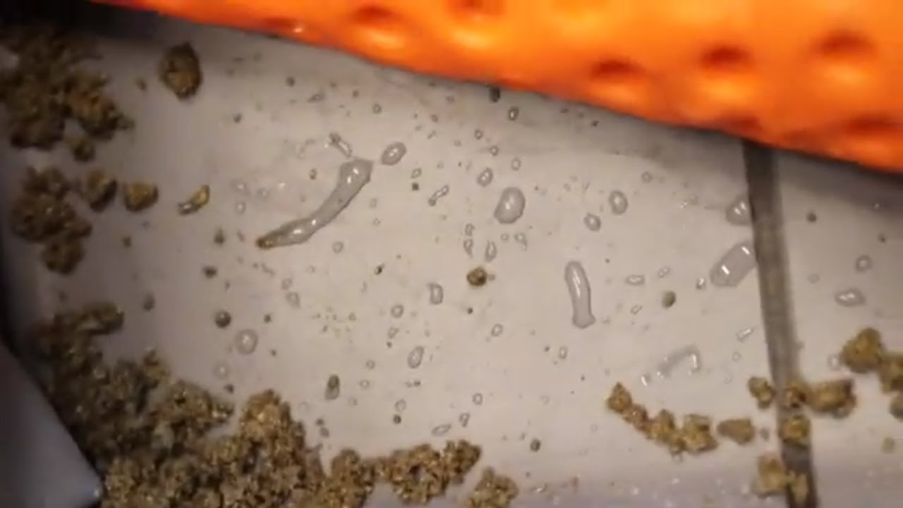 PROOF that Pre-Slope Works! - Tile Coach Episode 19 - YouTube