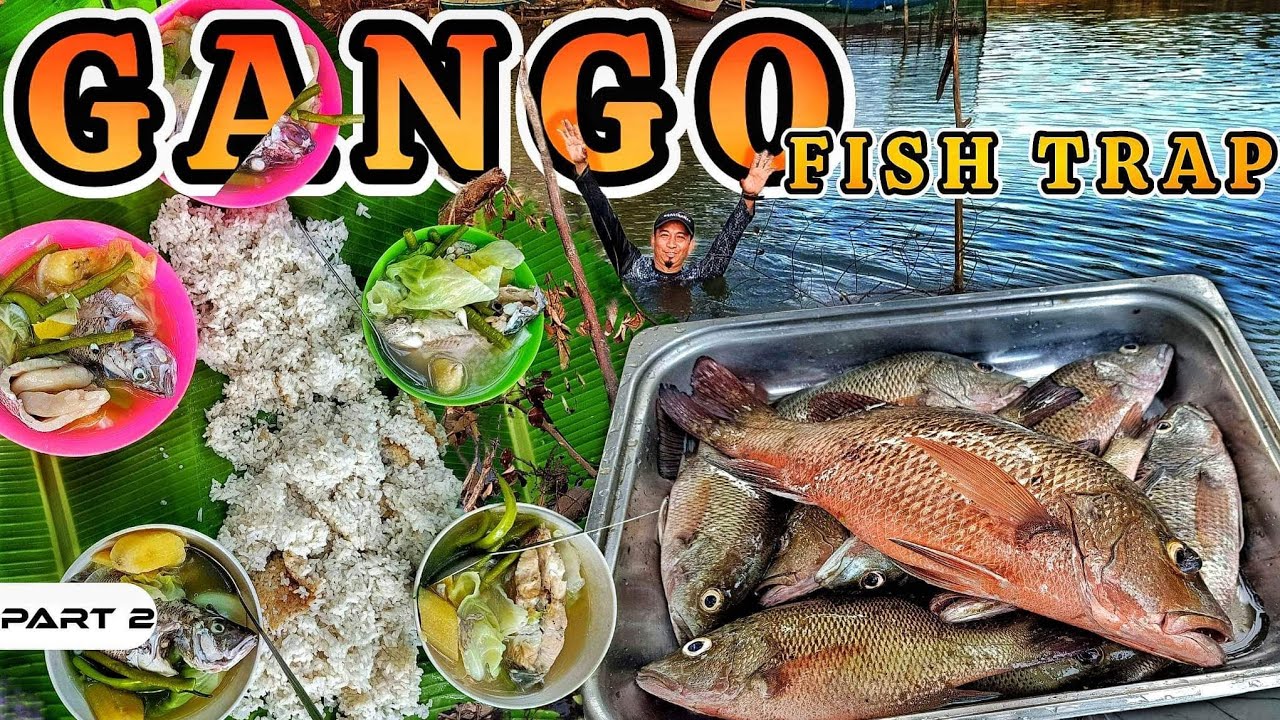 EP902-P2 - Pagpandaw ng Gango - YouTube