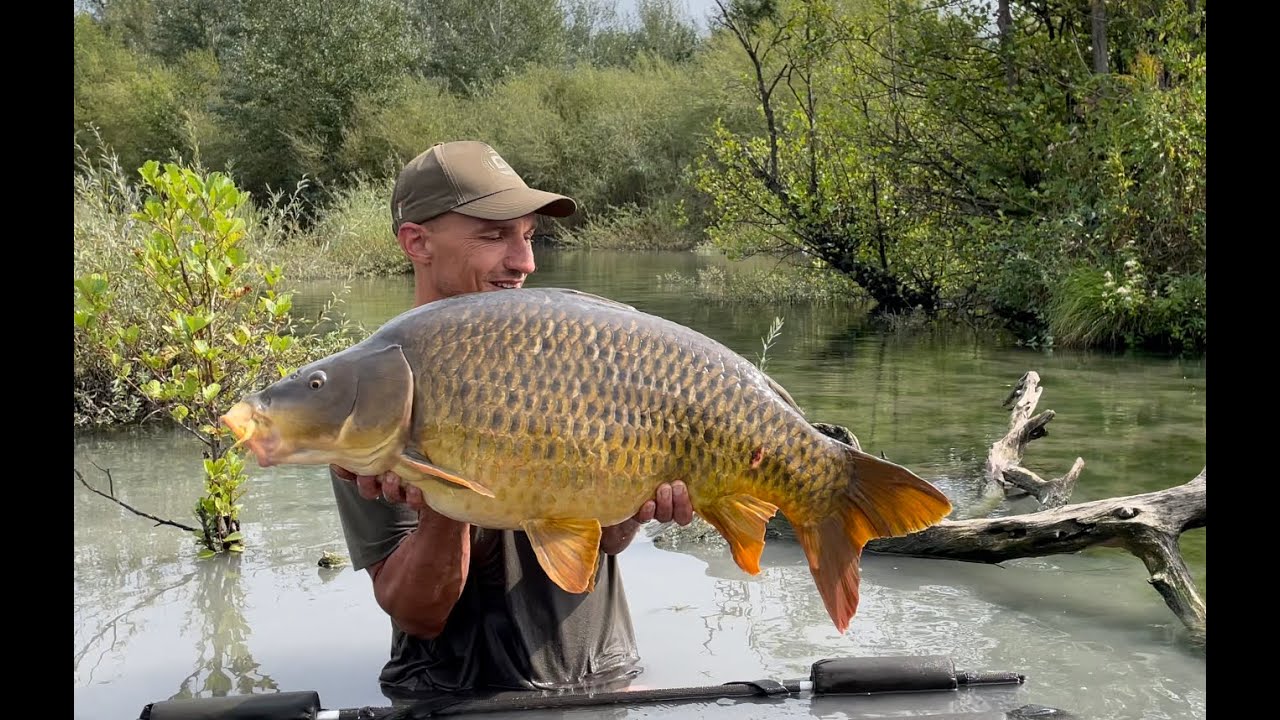River Carp Fishing Vlog#6 French river madness - YouTube