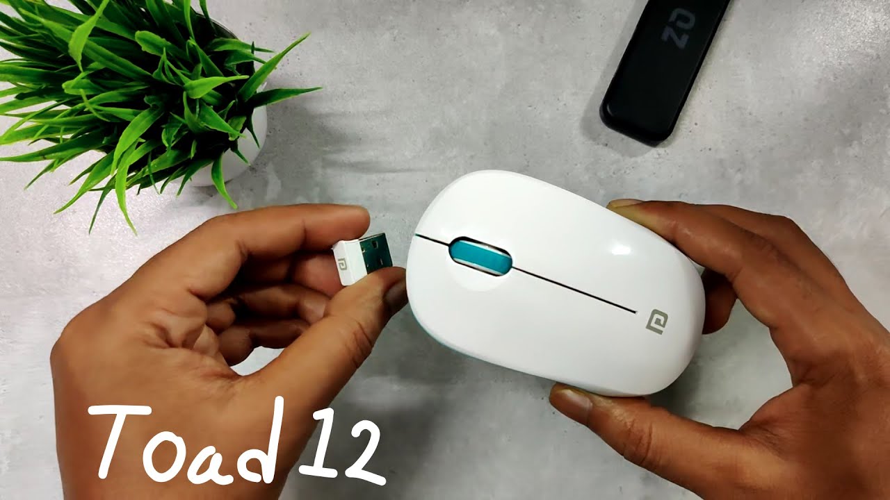 Portronics Toad 12 Wireless Mouse under 350 - YouTube
