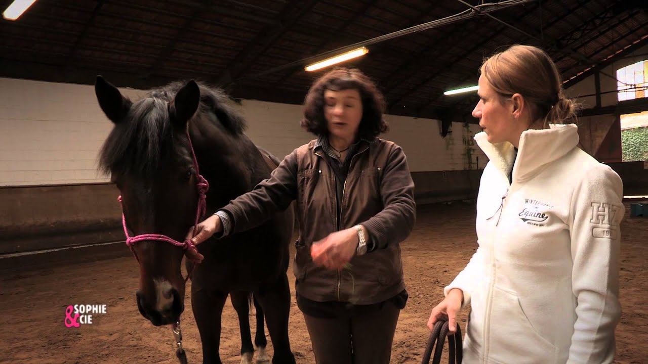 Votre cheval en mode streching - Equidia Life - YouTube