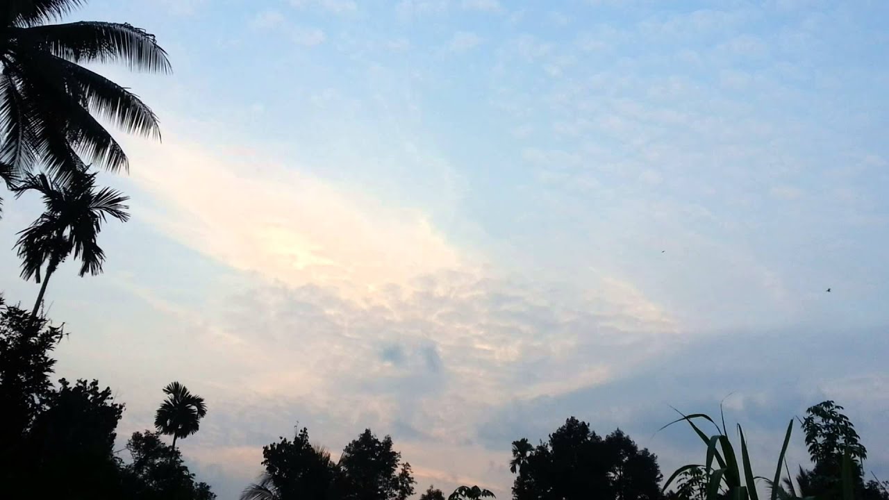 Sejoli burung merbok malay. - YouTube