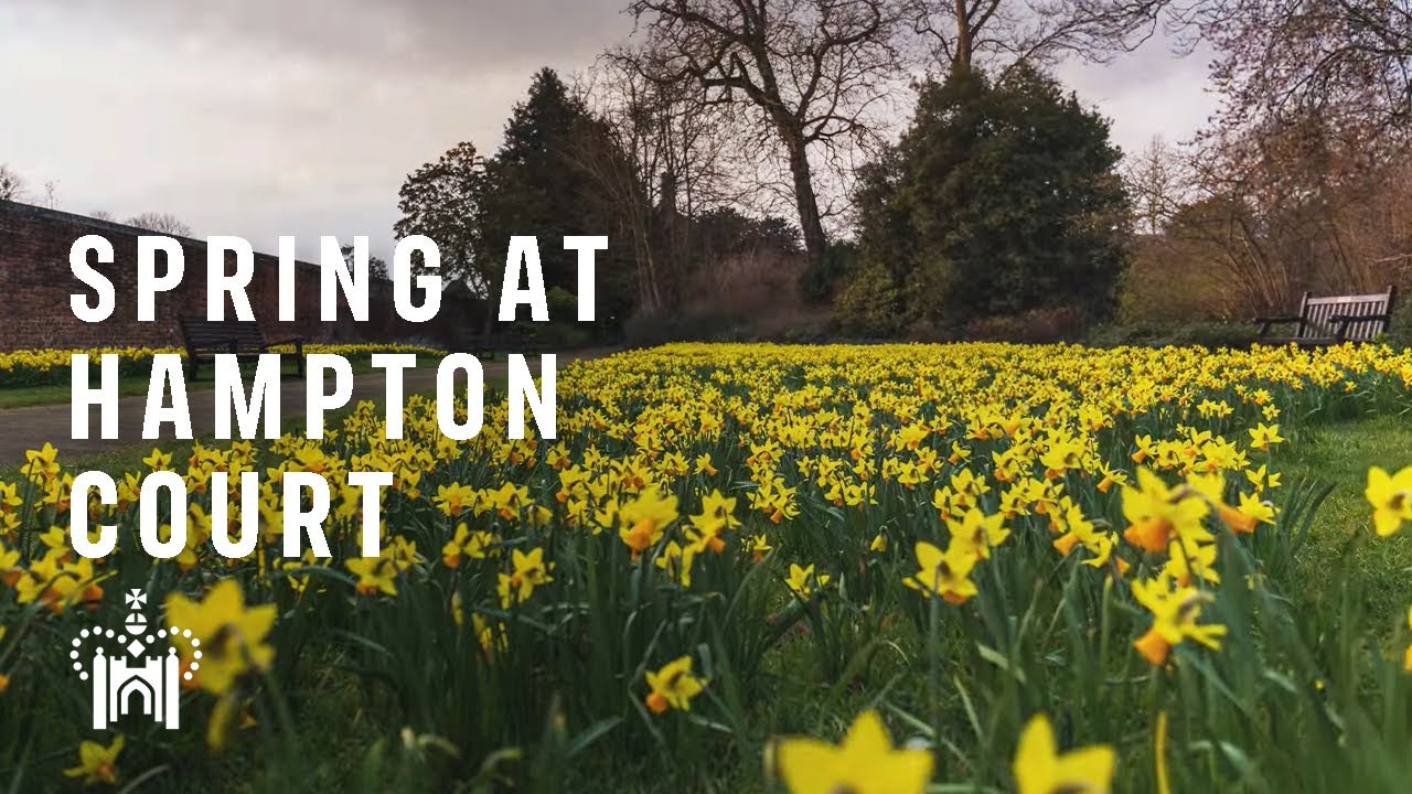 Hampton Court Palace Gardens Hampton Court | Tudor Architecture,