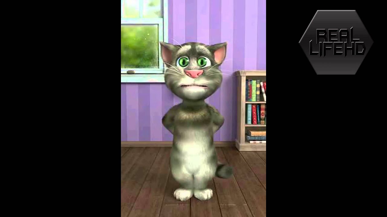 Gangnam Style Talking Tom Cat - YouTube