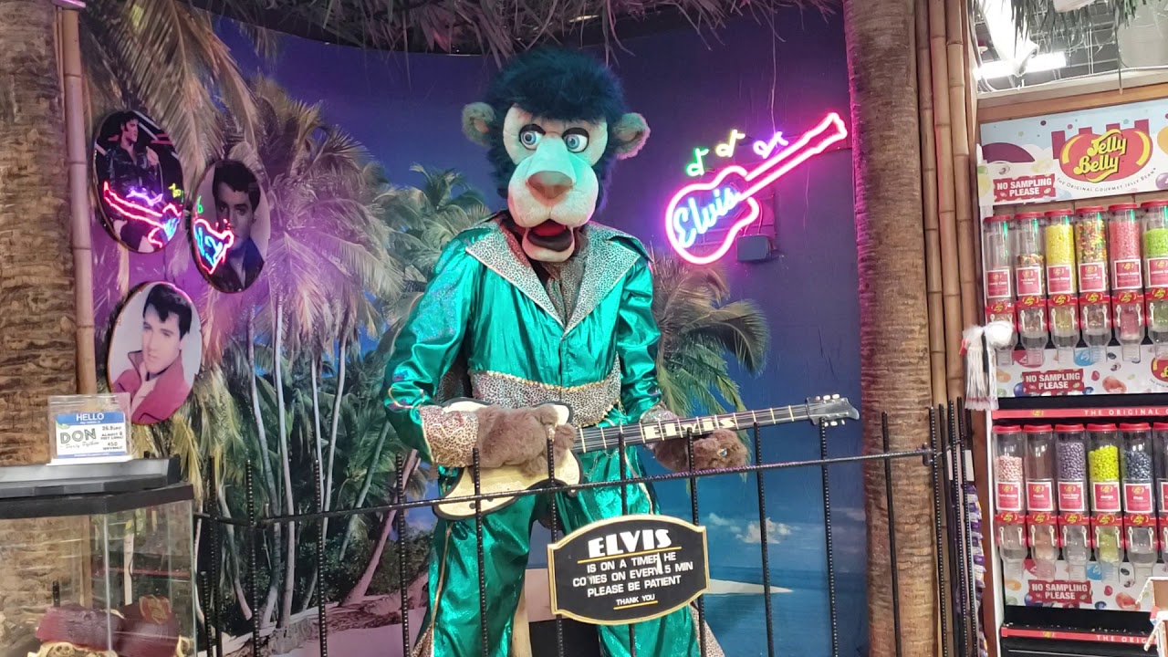 That Elvis Animatronic - YouTube