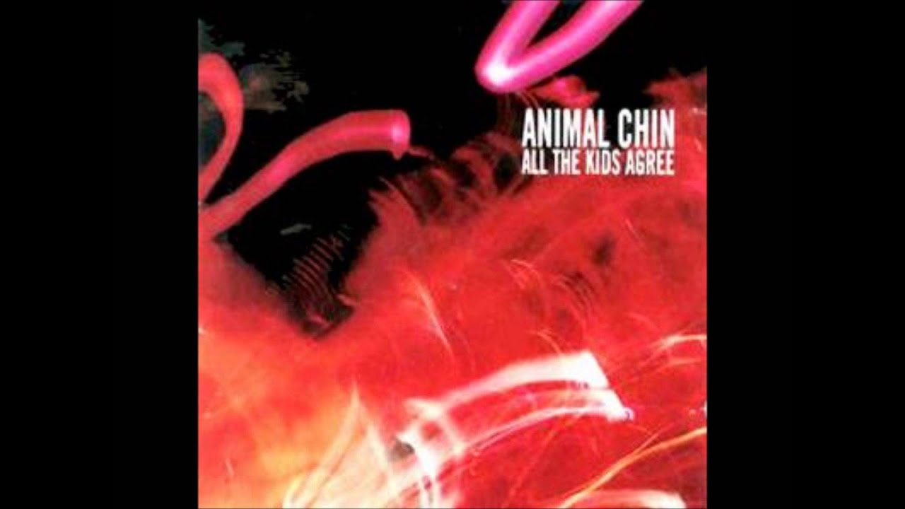 Animal Chin - The Scene - YouTube
