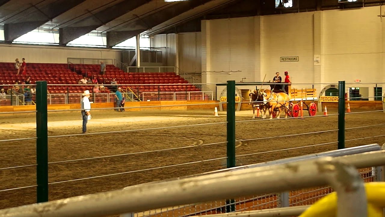 Draft horse obstacle course- Evergreen State Fair 2014 - YouTube