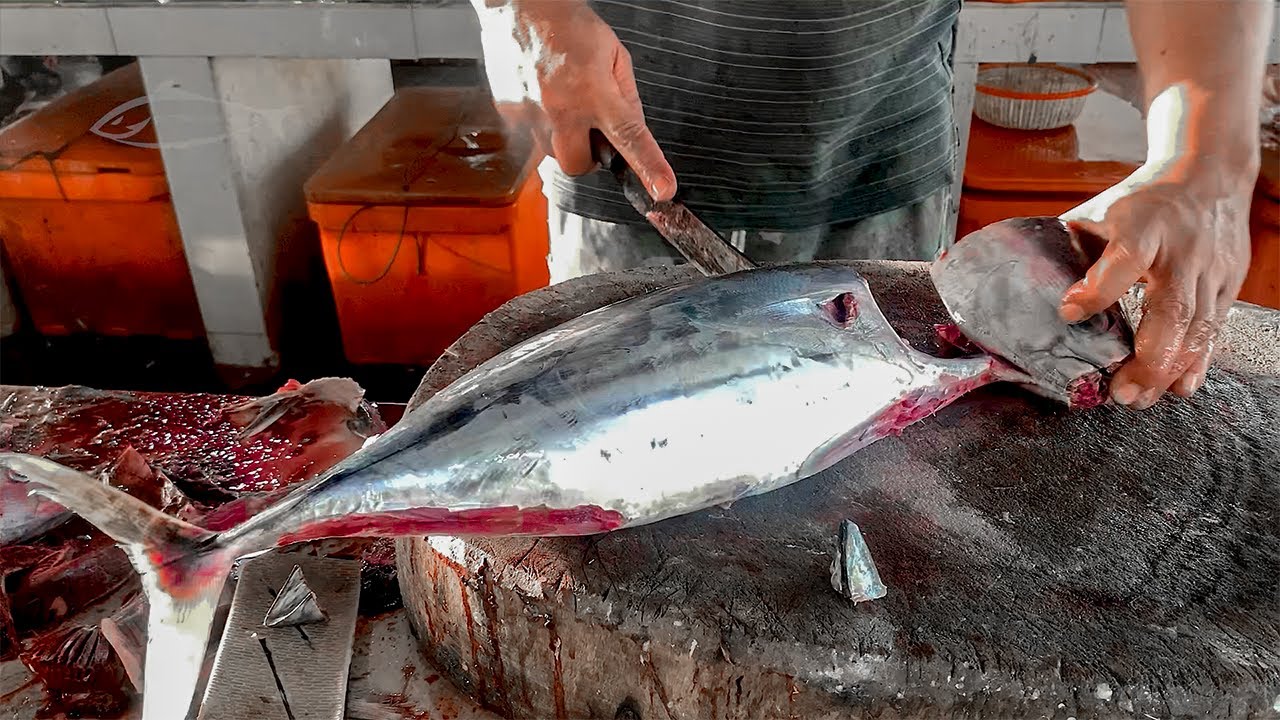 Sharpest Tuna Knife！Superb Tuna cutting skill - YouTube