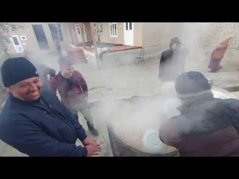 TUY JAR URGUT PALOVI 2