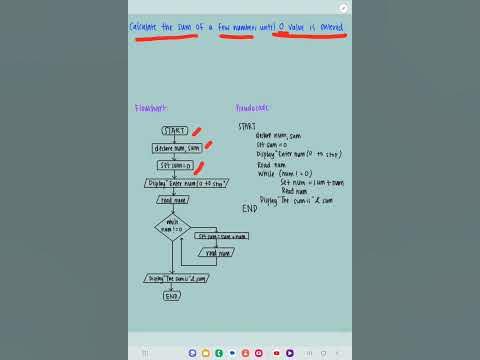 SENTINEL CONTROLLED STRUCTURE - YouTube