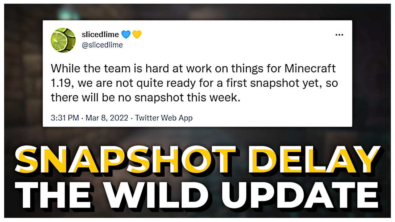 Next Wild Update Snapshot *DELAYED* | Minecraft 1.19 - YouTube