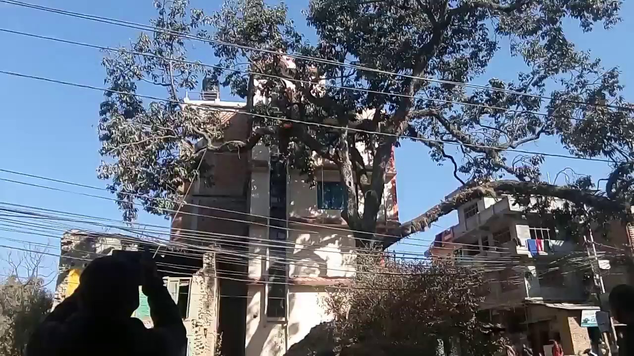 Danchhi chowck ko chaap ko tree.. - YouTube