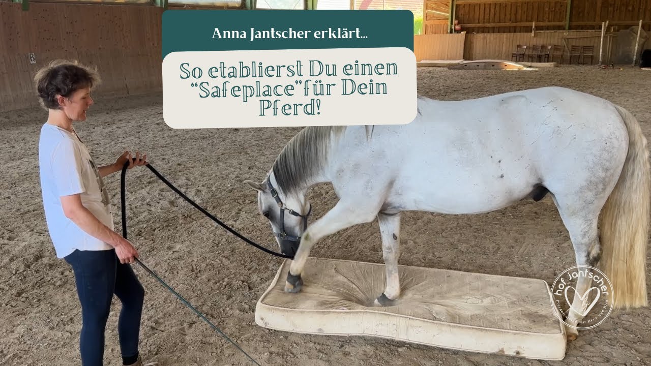 So etablierst Du einen Safeplace für Dein Pferd - Anna Jantscher Herz ...