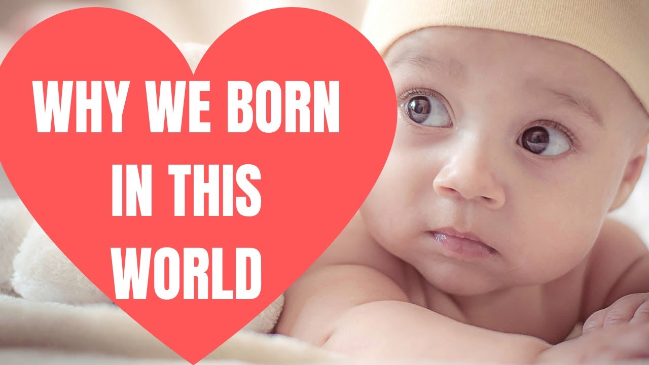 WHY THE REASON WE BORN FOR THIS WORLD*science of storytelling and make ...
