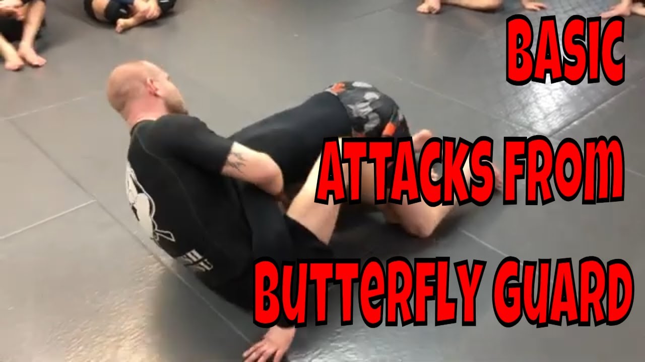 Basic attacks from butterfly guard - YouTube