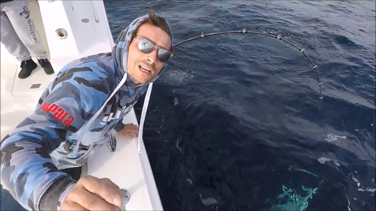 Partenza in diretta di un tonno over 50 su un calamaro a traina col ...