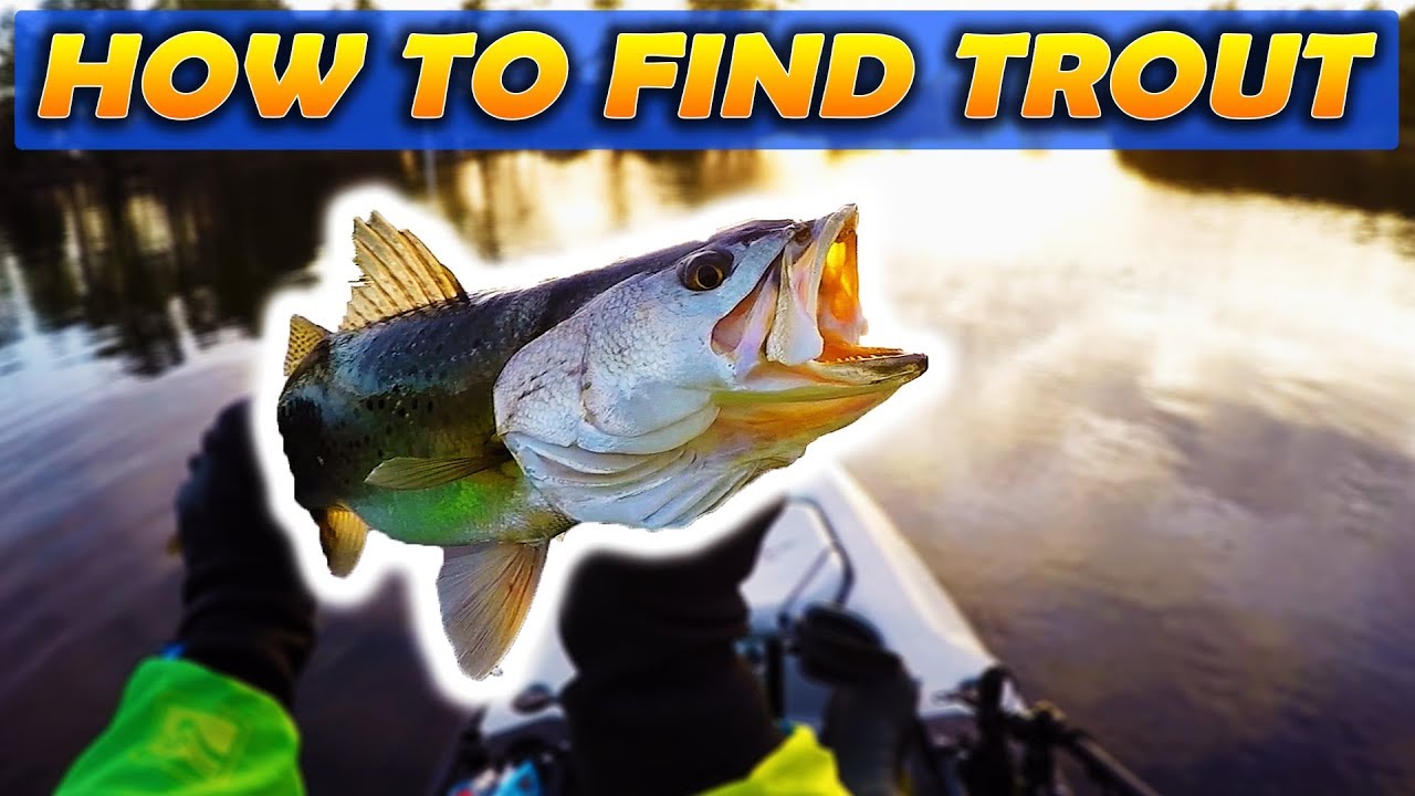 Neuse River Trout Fishing (How To Find Trout) - YouTube