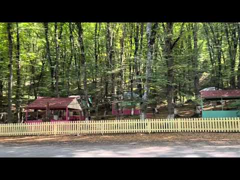 Quba Qecres Garden#nature #azerbaijantourism #travel #azarbaijan #automobile #qusar #mountains #fyp