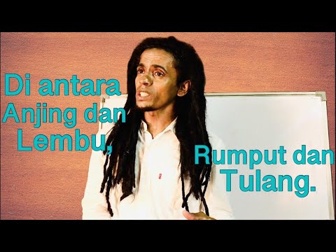 Di antara Anjing Dan Lembu, Rumput Dan Tulang...