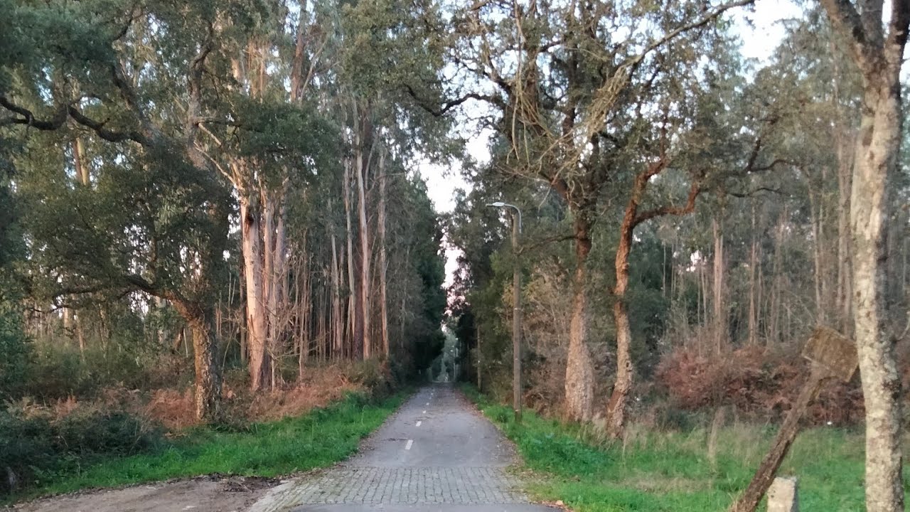 Caminhando por Terroso - Walking in Terroso - Póvoa de Varzim in ...