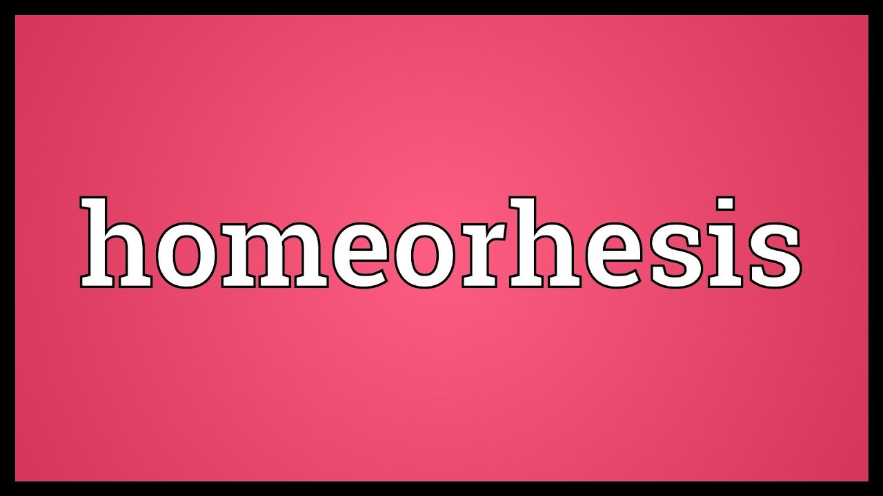 Homeorhesis Meaning - YouTube