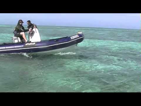 Zodiac Pro dive boats - YouTube
