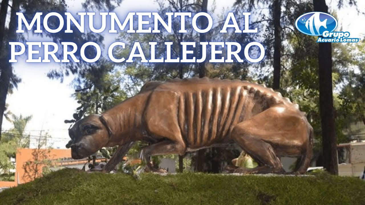 Monumento al Perro Callejero | Fancy Pets - YouTube