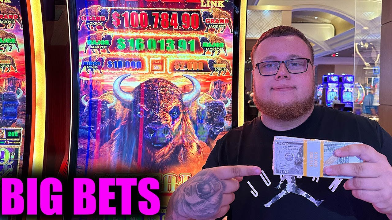 High Stakes Buffalo Pays Off Big - YouTube