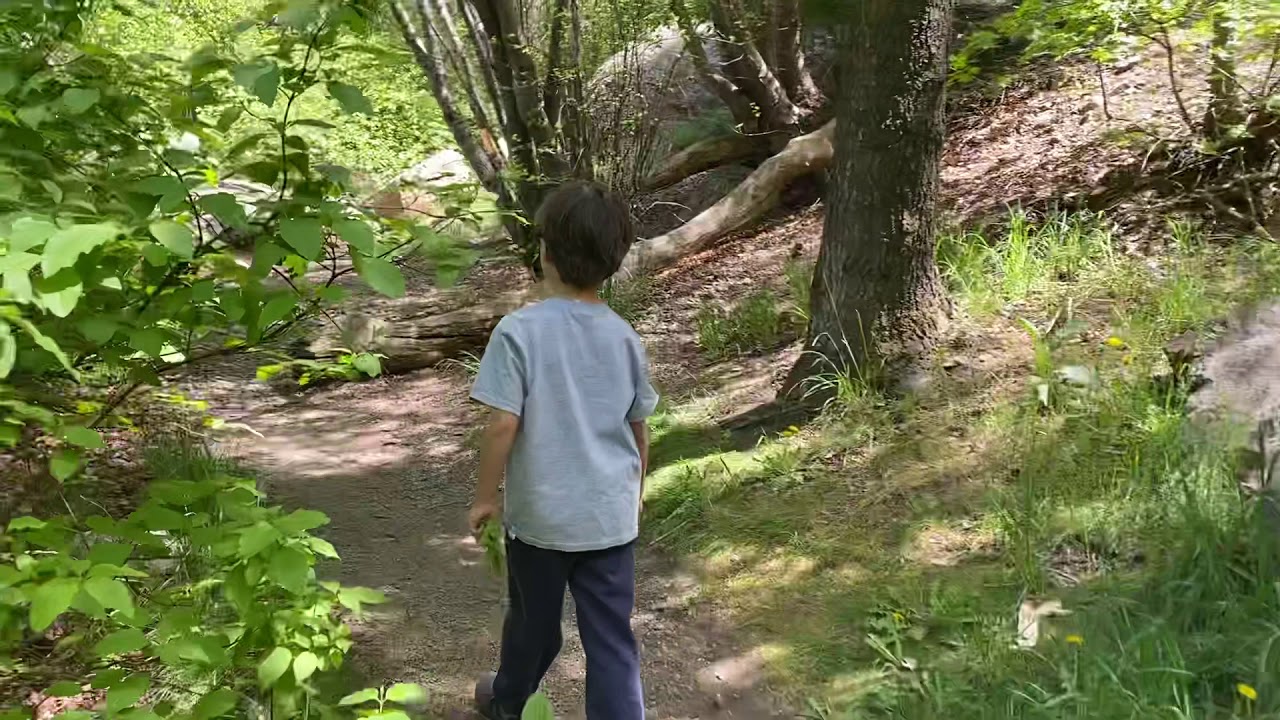 Walk next to a loud river - YouTube
