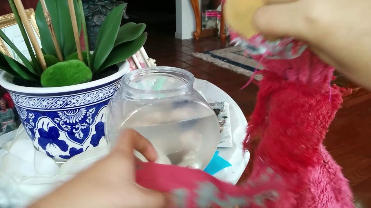 Guess What Elmo's Thinking About Today - YouTube