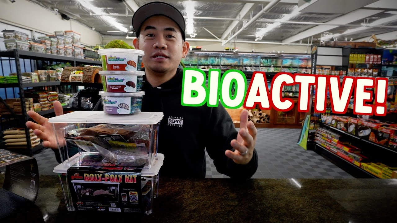 HOW TO GET A BIOACTIVE TANK SET UP | UNBOXING ZOOMED ROLY POLY KIT ...