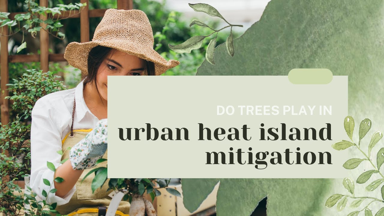 What role do trees play in urban heat island mitigation - YouTube