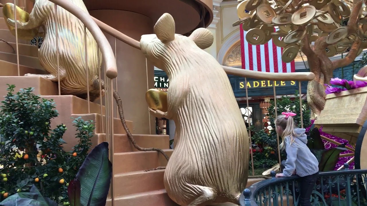 YEAR OF THE RAT DISPLAY - YouTube