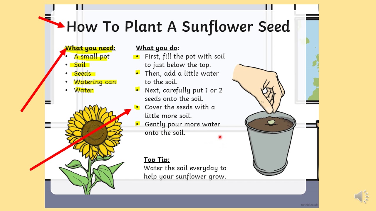 Reception Writing Week 2 - Instructions Lesson 2 - YouTube