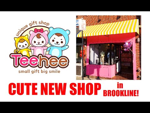 Teehee - A new Gift Store in Coolidge Corner - Brookline - Boston - YouTube