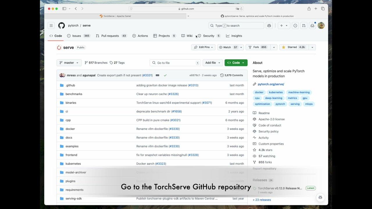 Introduction to Camel TorchServe component (no sound) - YouTube