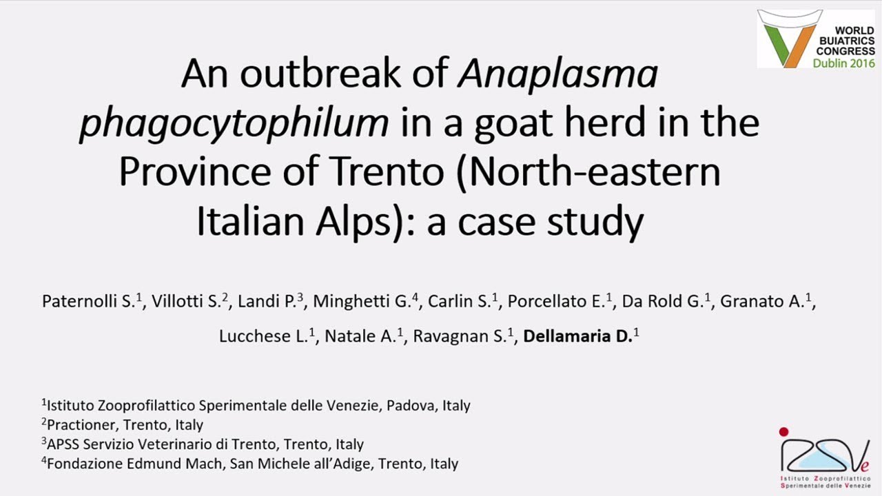 An outbreak of Anaplasma phagocytophilum in a goat herd - YouTube